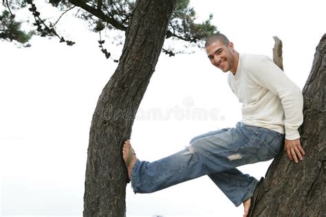Hiding Behind Tree Stock Image Image Of Woods Playful 5235351