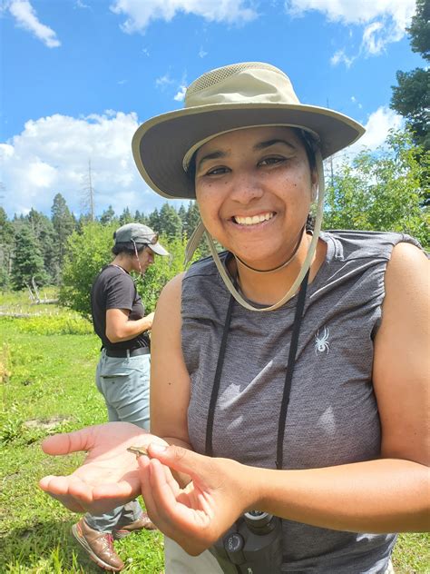 Networking Is King Environment For The Americas
