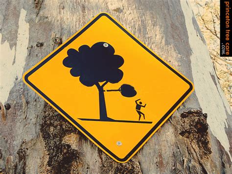 Do You Have Dangerous Trees On Your Property Princeton Tree Care