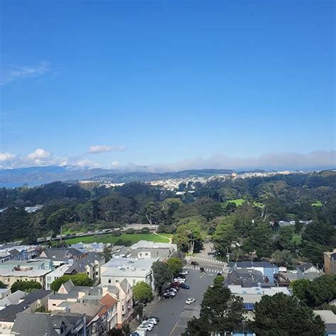 A Systematic Review Supporting The Society For Vascular Surgery Guideline Update On The