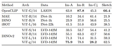 Dinov2 Learning Robust Visual Features Without Supervision 烈烈风中、的博客