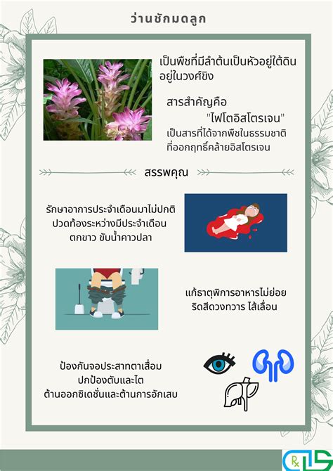 วันนี้มาทำความรู้จักสมุนไพ Talk About ยา With ชาลิสาเภสัช