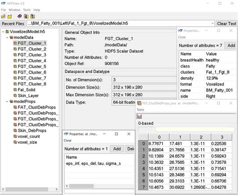 Directory Structure Of The Voxelized Breast Model In Hdf5 File Download Scientific Diagram