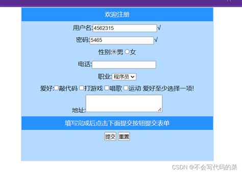 JavaScript表单验证 js表单验证 CSDN博客