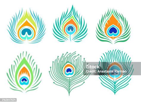 Set Of Peacock Feathers Vector Silhouette Stock Illustration Download