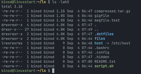 Ls Command In Linux Your Comprehensive Guide Linux Start