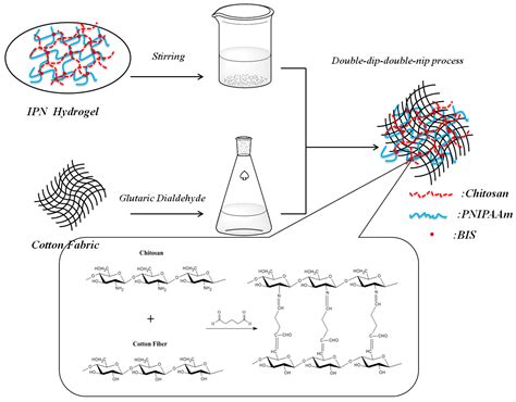 Thermosensitive Behavior And Antibacterial Activity Of Cotton Fabric Modified With A Chitosan