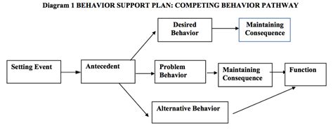 The Competing Behavior Pathway Model Developing Function Based Supports For Babes With