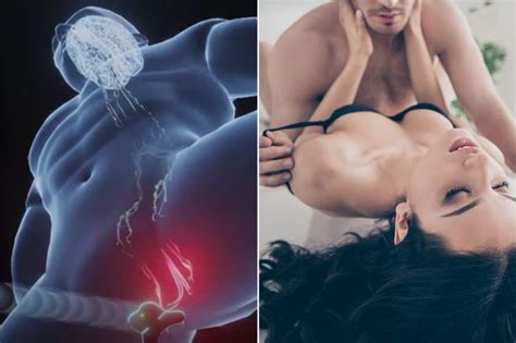 Love Sex Relationship Advice Sex Tips More Daily Star