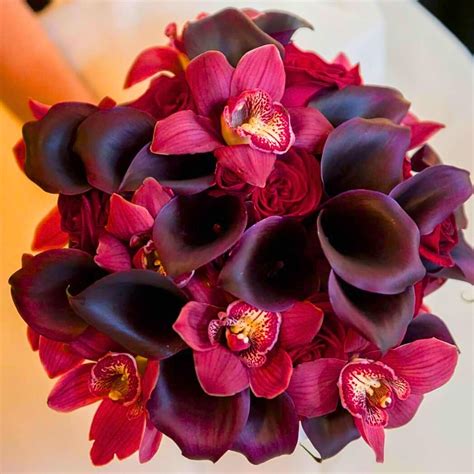 Burgundy Calla Lily Bridal Bouquet
