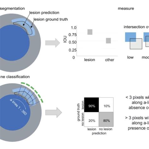 Lesion Segmentation Vs A Line Classification A Lesion Download Scientific Diagram