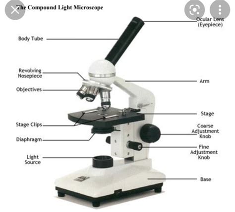 Forensic Science Unit 2 Test Flashcards Quizlet