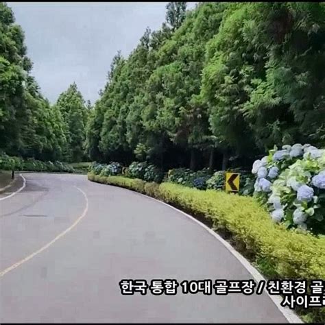 사이프러스 골프and리조트 제주 사이프러스 골프 앤 리조트🎉 봄이 오면 이쁜 꽃들과 같이 즐거운 라운딩 어떠세요 😊 신들의 정원 아름다운 골프장 제주 사이프러스 골프 앤