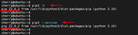 How To Install Pip On Ubuntu 2204 Step By Step Cherry Servers