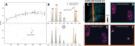 Spectral Alignment Using Cow Algorithm A The Matching Of Peaks In The Download Scientific
