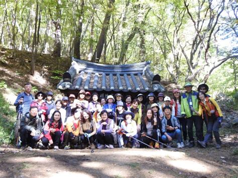 울진 금강 소나무 숲길을 다녀오면서~ 탐방후기 울진금강소나무숲길