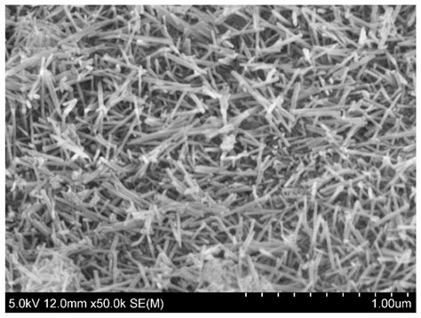一种利用溶胶凝胶法快速合成硼酸铝纳米晶须的方法及其产品
