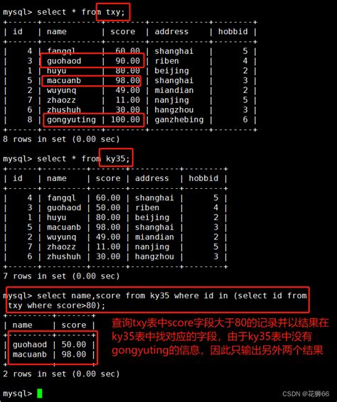 Mysql子查询、视图与null值详解：基础操作与应用 Csdn博客