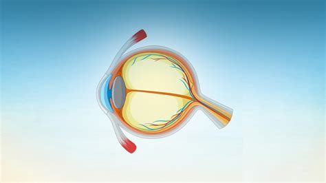 Ectopia Lentis Dma Edu