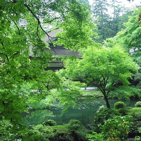 Sabdar Shaikh On Linkedin Docker Devops Multistagebuilds Containers Optimization…