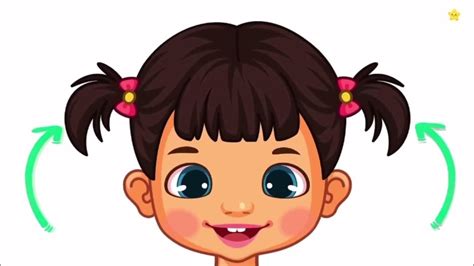 Відео заняття «Вивчаємо частини тіла Youtube