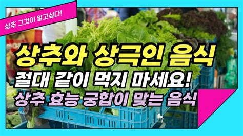 상추와 상극인 음식 Top 7 절대 같이 드시면 안됩니다 60대 노년기 건강 관리 비법 Youtube