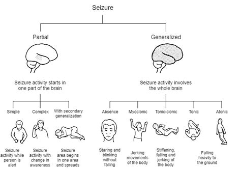 Emergency Medicine Educationseizure Emergency Medicine Education