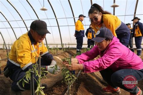 ЖИМС ХҮНСНИЙ НОГОО МОД ТАРИАЛАХ СУРГАЛТАД ЦОГТЦЭЦИЙ СУМЫН ИРГЭДИЙГ ХАМРУУЛЛАА