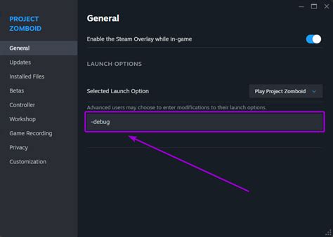 How To Enable Debug Mode On Your Project Zomboid Server