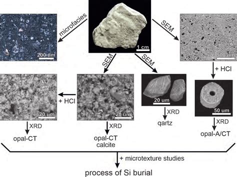 Research Methods Used For The Determination Of Mineralogical Download Scientific Diagram