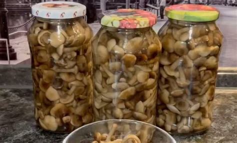 Как мариновать грибы на зиму в банках с уксусом без стерилизации простой рецепт пошаговый