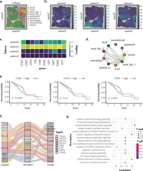 Spacclink Exploring Downstream Signaling Regulations With Graph Attention Network For