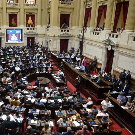 Hulk El Pitbull Más Grande Pesa 79 Kilos Y Es Furor En Internet Infobae