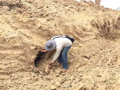 ទំនប់ សណ្តរ ស្ទឹងត្រែង សម្រេច ជាង ៩០ ភាគរយ នគរដ្រេហ្គន