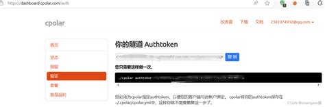使用cpolar完成内网穿刺网络穿刺 Csdn博客