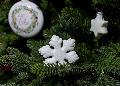 전나무 트리 크리스마스 시간 Pixabay의 무료 사진