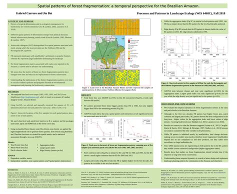 Pdf Spatial Patterns Of Forest Fragmentation A Temporal Perspective For The Brazilian Amazon