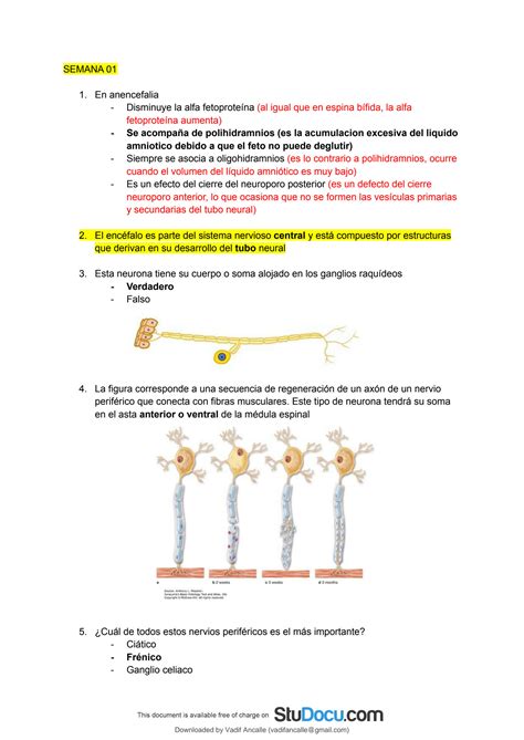 SOLUTION Banco De Preguntas Sistema Nervioso Studypool