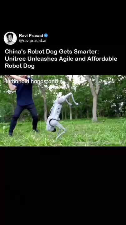 mohammad seyfi posted on linkedin