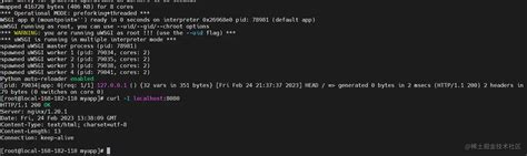 Python 之 Wsgi、uwsgi 和 Uwsgi 介绍一、概述 Wsgi 、uwsgi 和 Uwsgi 是三个相关 掘金