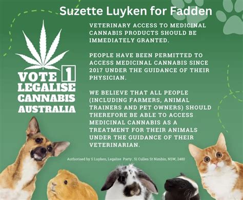 Make Your Vote Count This Weekend Rgoldcoast