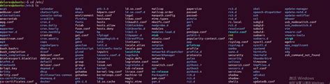 docker设置mysql，etc下找不到mysql文件夹？ csdn社区