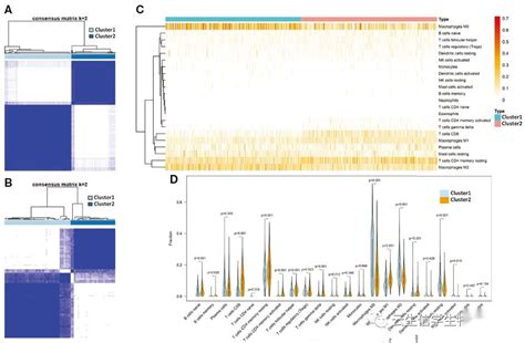 5张图就能搞定一篇8分frontiers生信分析文章！基于免疫细胞的分析又添新成员，这个思路千万不要错过！ 知乎