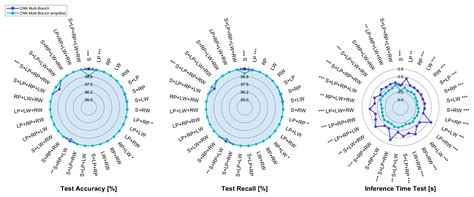 A Deep Learning Based Framework Oriented To Pathological Gait Recognition With Inertial Sensors
