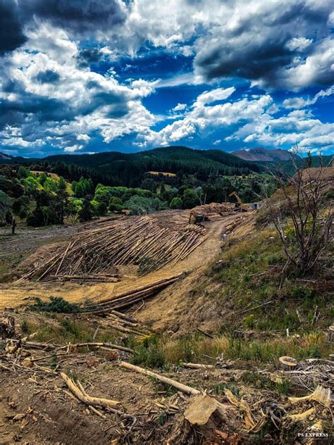 Brolly Logging Brolly Logging Added A New Photo