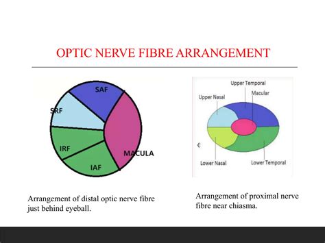 Visual Fields In Neuro Ophthalmology Part 1 Pptx Visual Fields In Neuro Ophthalmology Part 1 Pptx