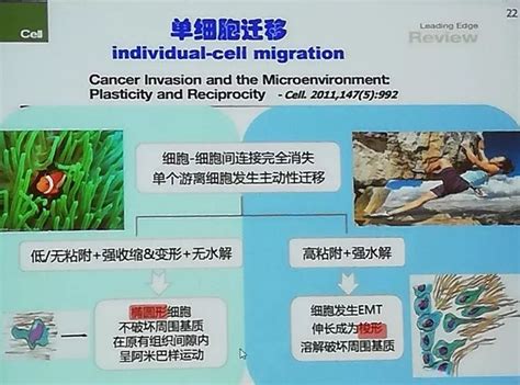 我院病理科参加内蒙古自治区第一届肿瘤病理年会诊断