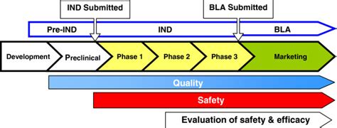Biological Product Development Overview Download Scientific Diagram