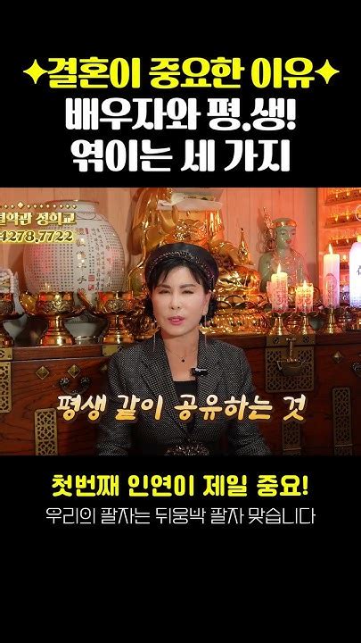 결혼 천생연분 동거 혼인신고 임신 출산 유산 문서운 Youtube