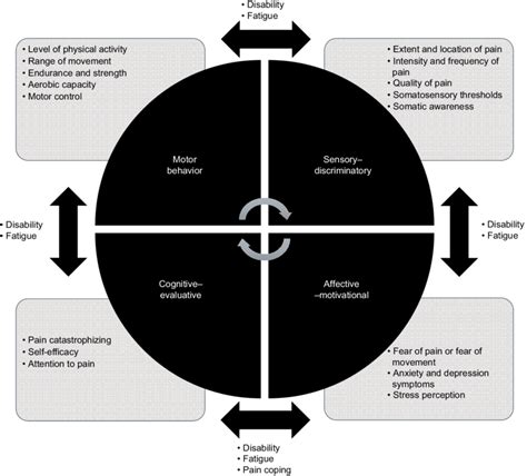 The Four Dimensions Of The Biobehavioral Model Of Pain Perception And